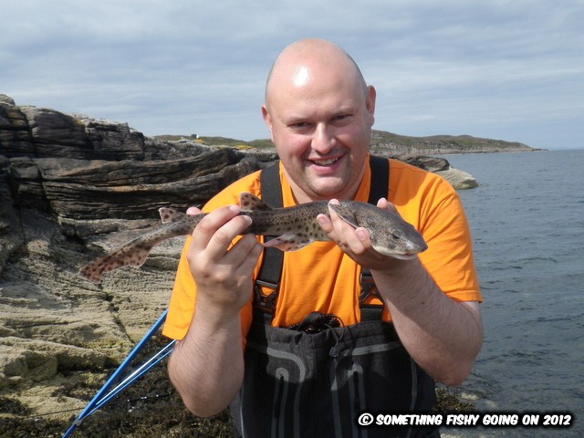 Freshwater Dogfish With Legs