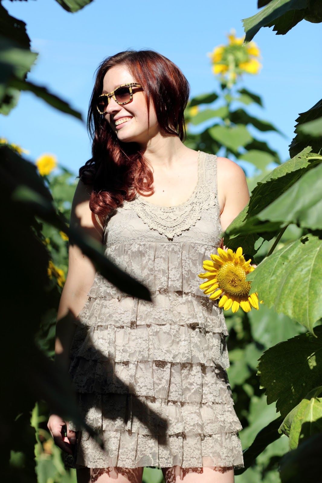 I promised you sunflowers - Monica Hayworth