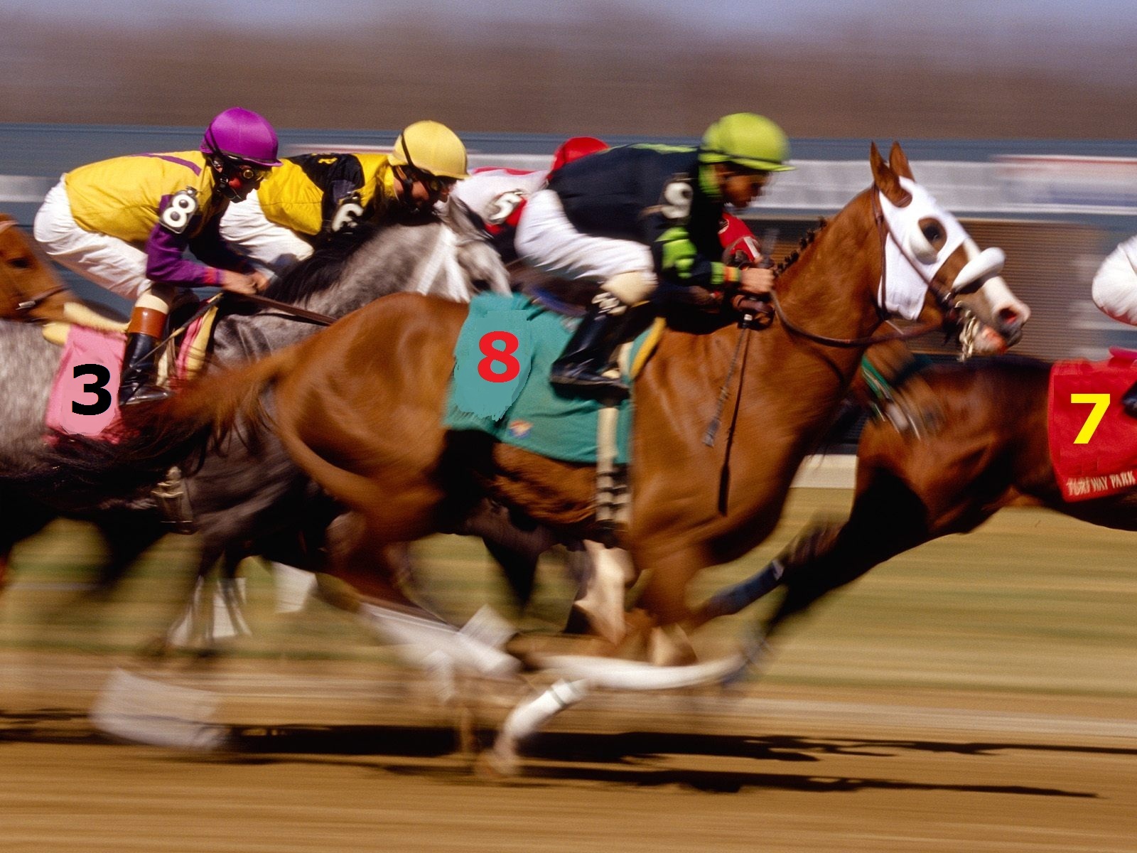 HorseRacing Art: horse racing chicago
