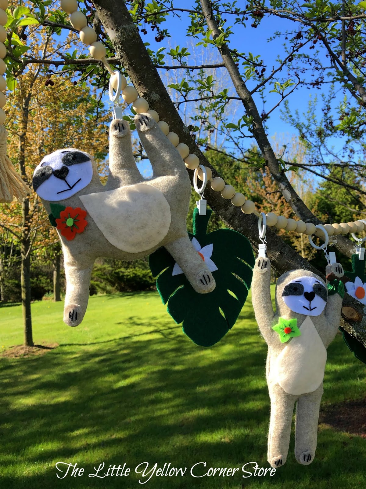 The Little Yellow Corner Store: Hanging With The Sloths