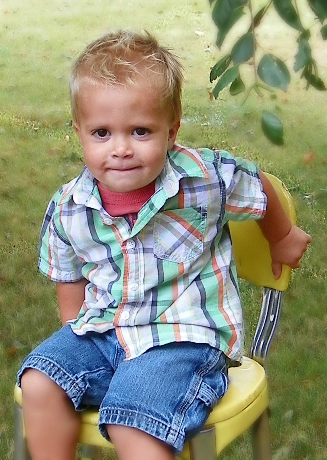 OUT IN THE FIELDS: 2 Year Old Photo Shoot