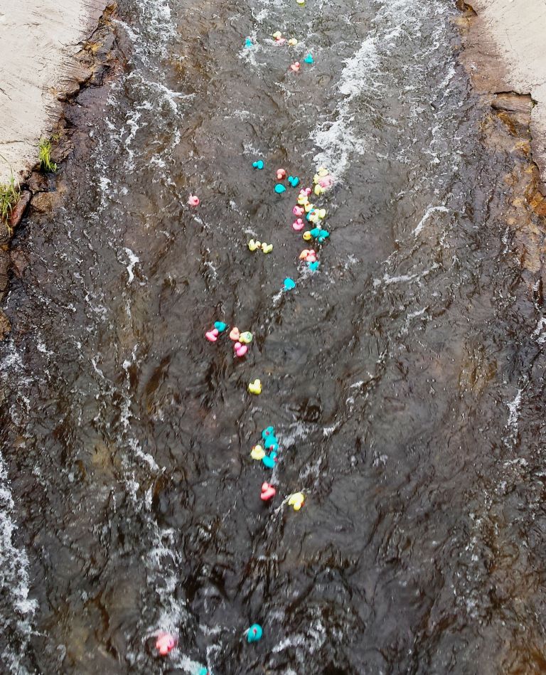 Creede Colorado July 4Th at Lavina Flippen blog