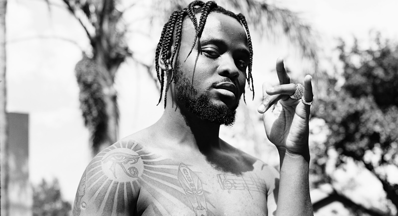 Biografia de Laylizzy - ISA FUNDS