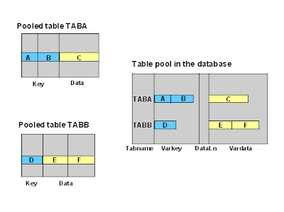 SAP ABAP: Pooled Tables