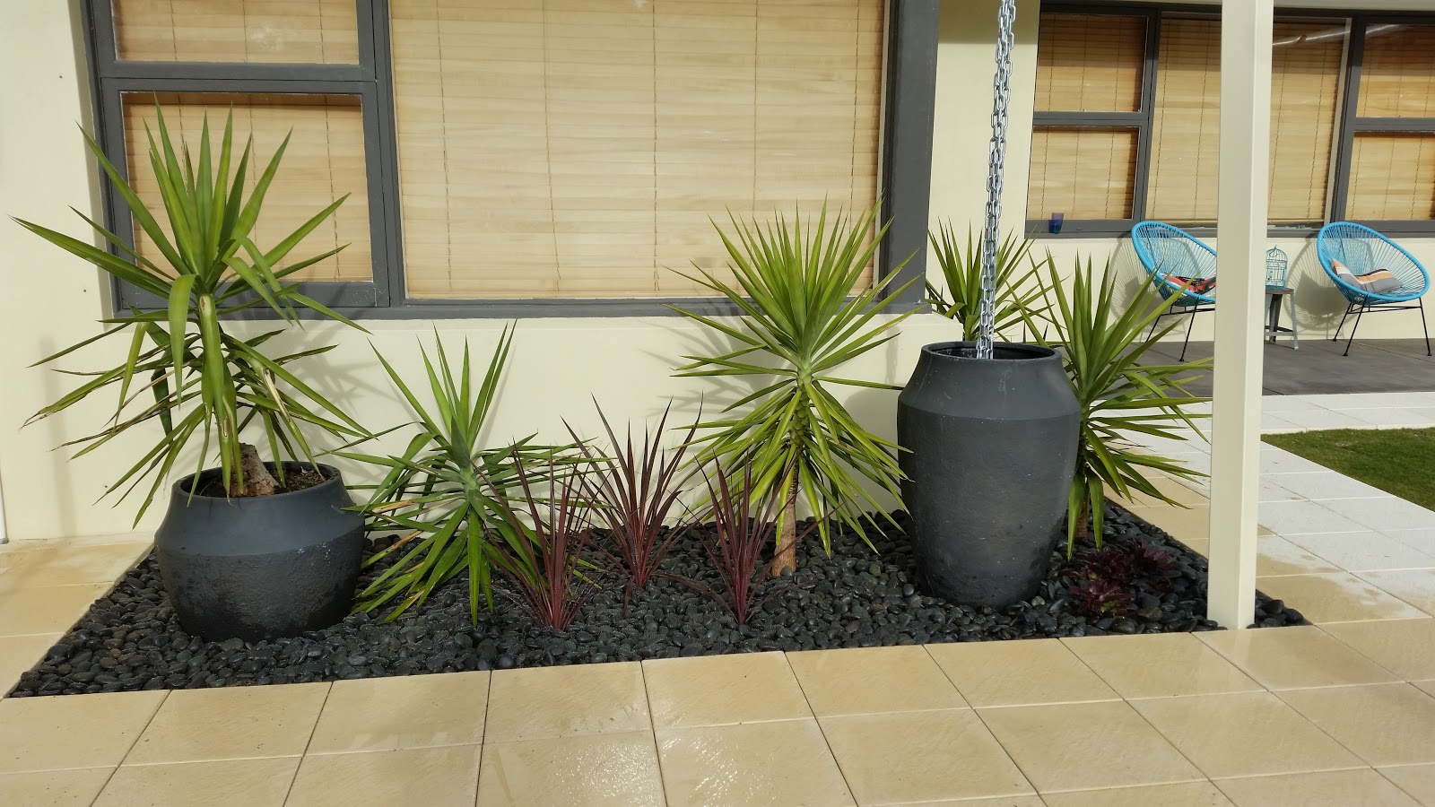 Jarrah Jungle: My Water Wise Plants + Pebbles Courtyard Garden