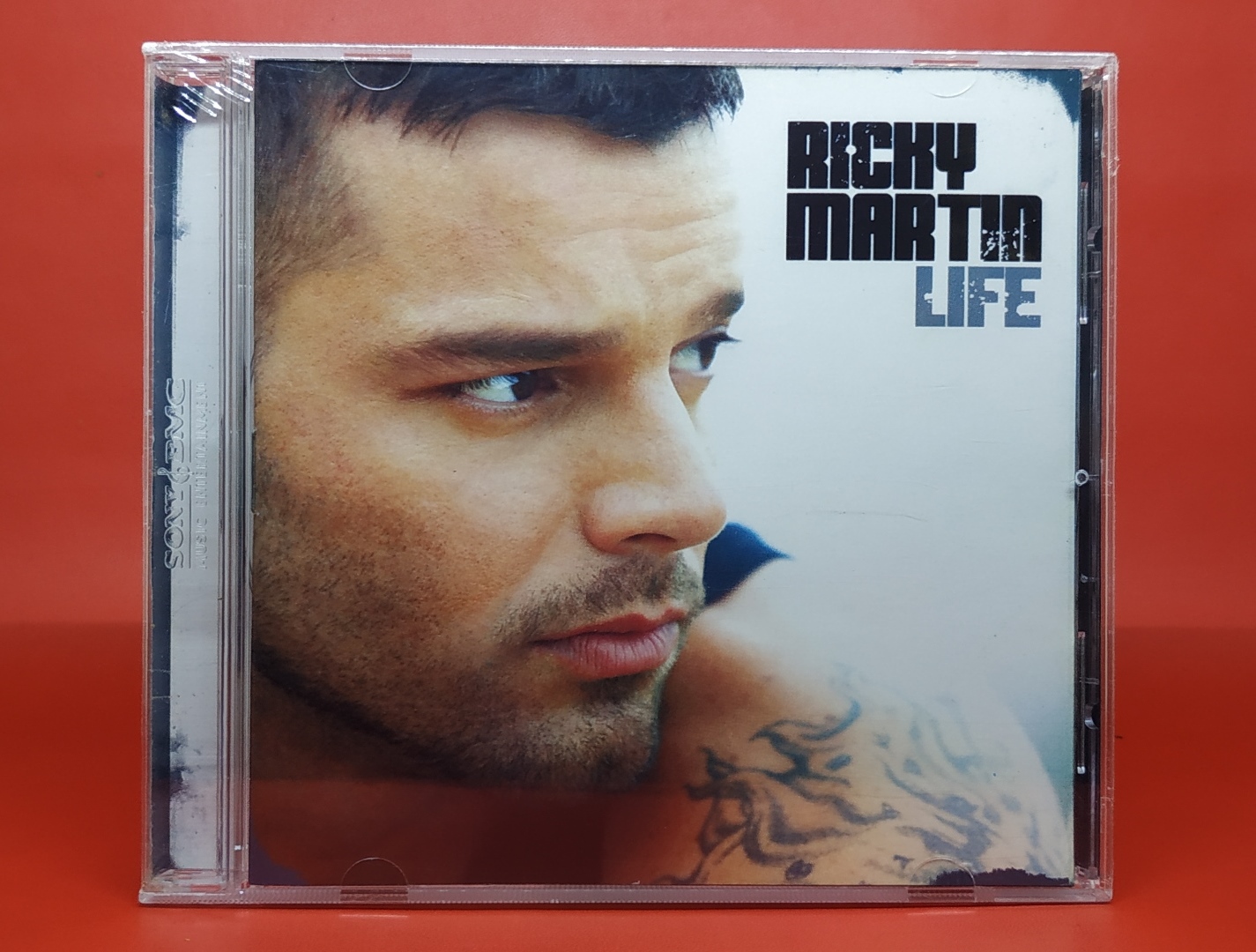 Ricky Martin Life