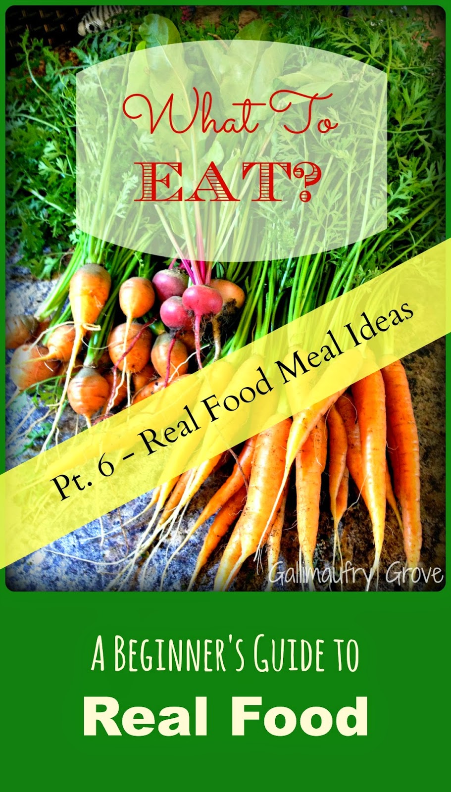 Pt. 1 -- Introduction