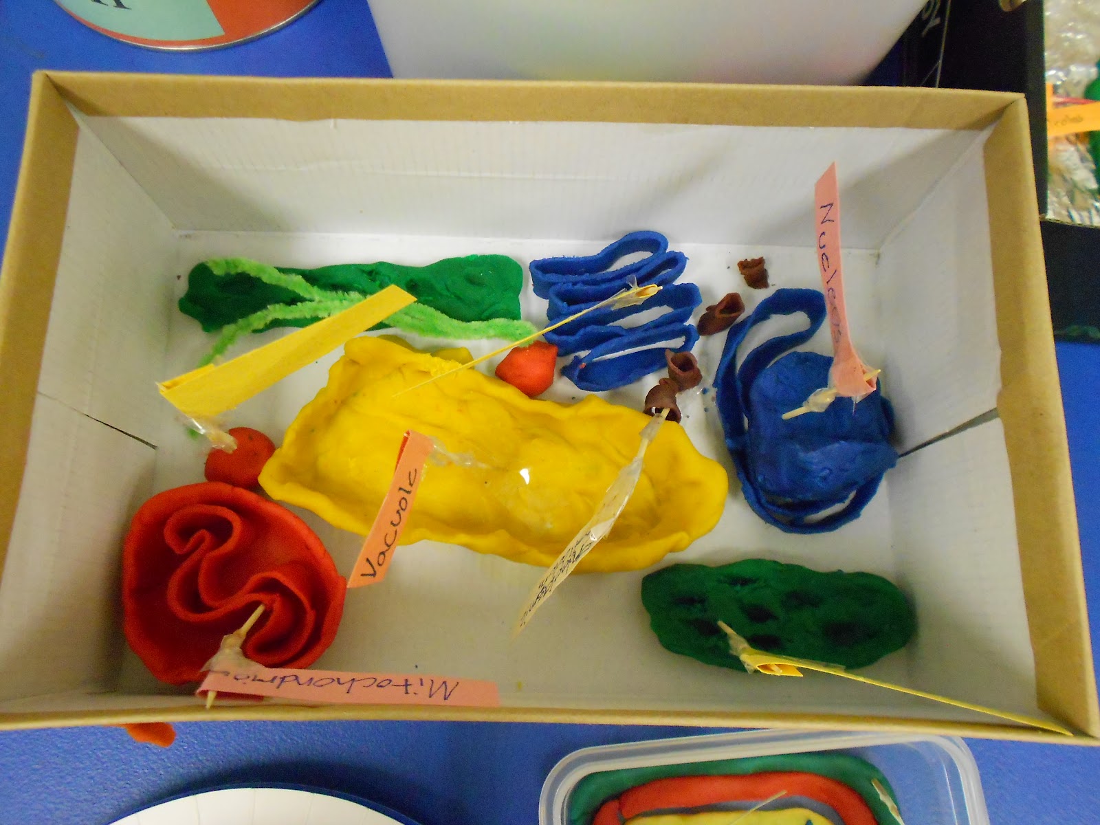Mrs. McDonald's 4th Grade: Make a Cell Model Project