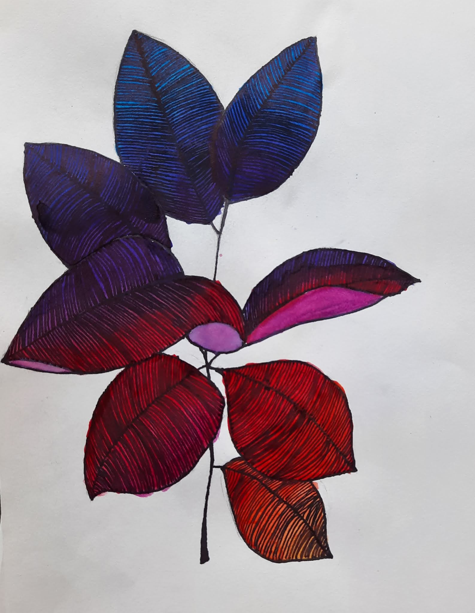 a faithful attempt: Watercolour, Pen & Ink Plant & Mushroom Paintings