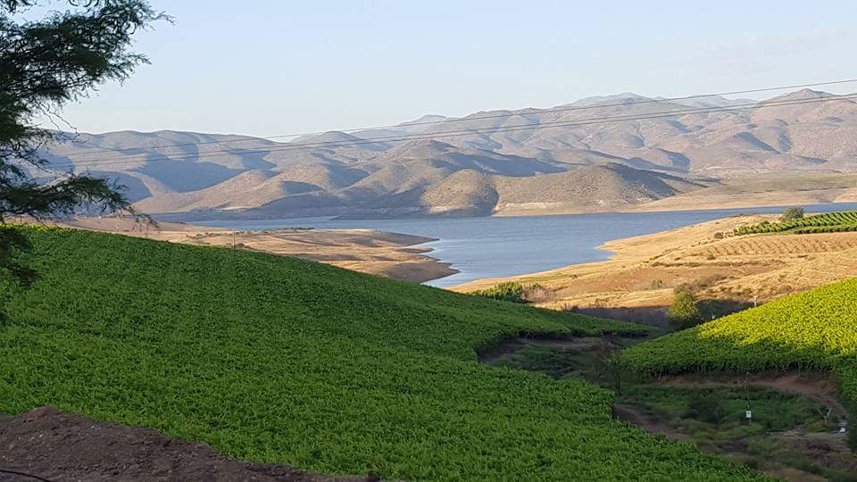 Déjame que te cuente...: EL PALQUI