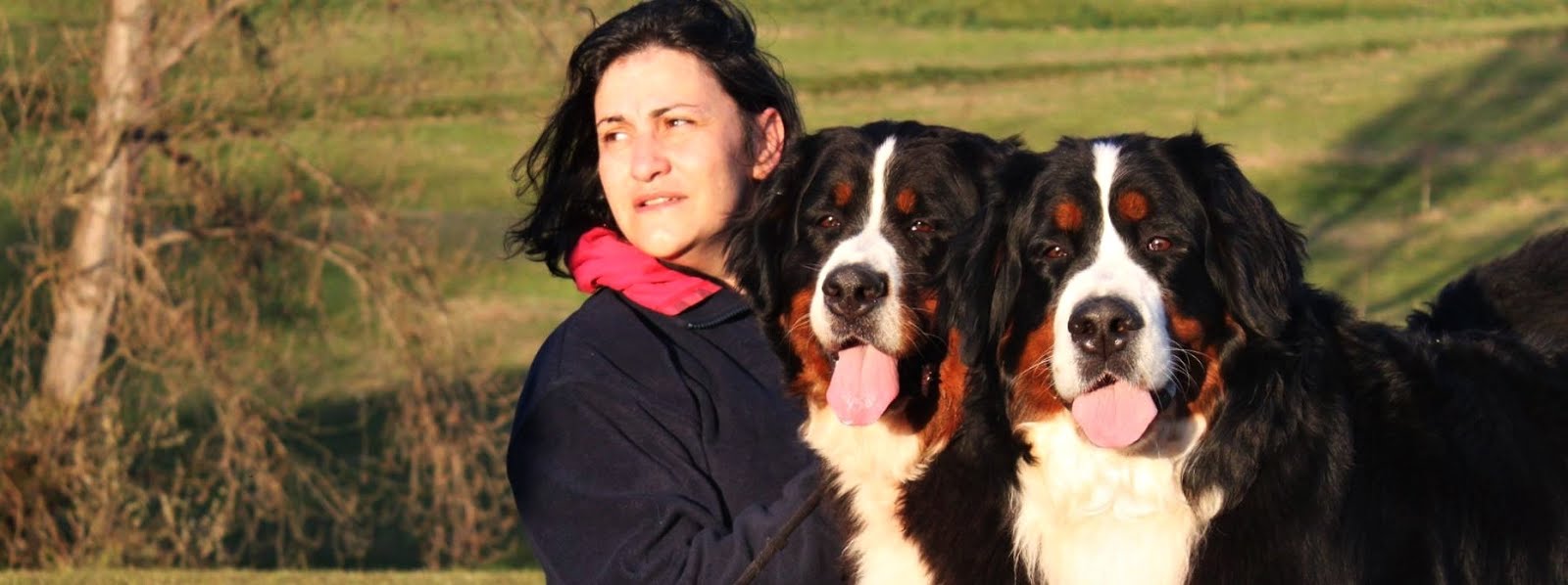 Boyeros de Berna : Nuestro Macho