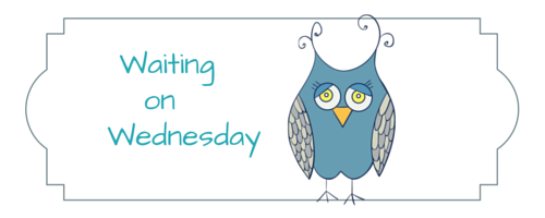 The O.W.L.: WoW The Big Dark by Rodman Philbrick