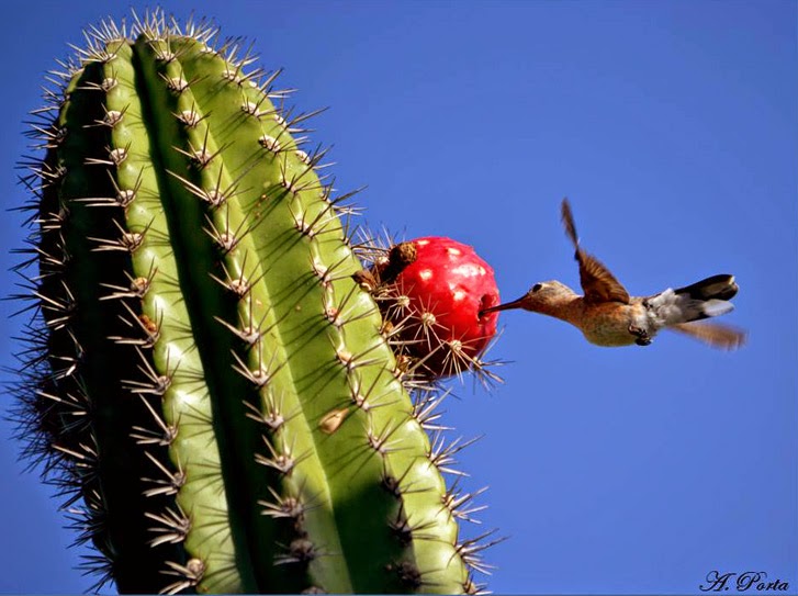 Lenin Cardozo - Entrevistas / Artículos / Videos: Parque Ecoturistico ...