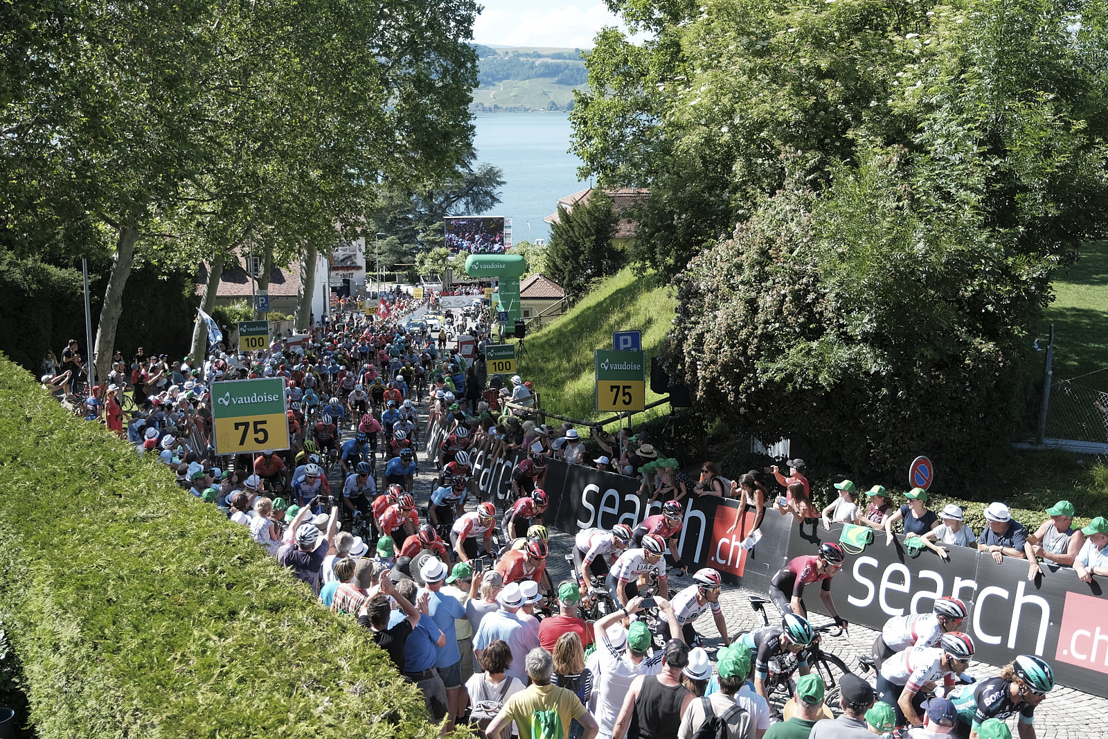 Tour de Suisse 2019 Etappe 3 - Murten Ankunft