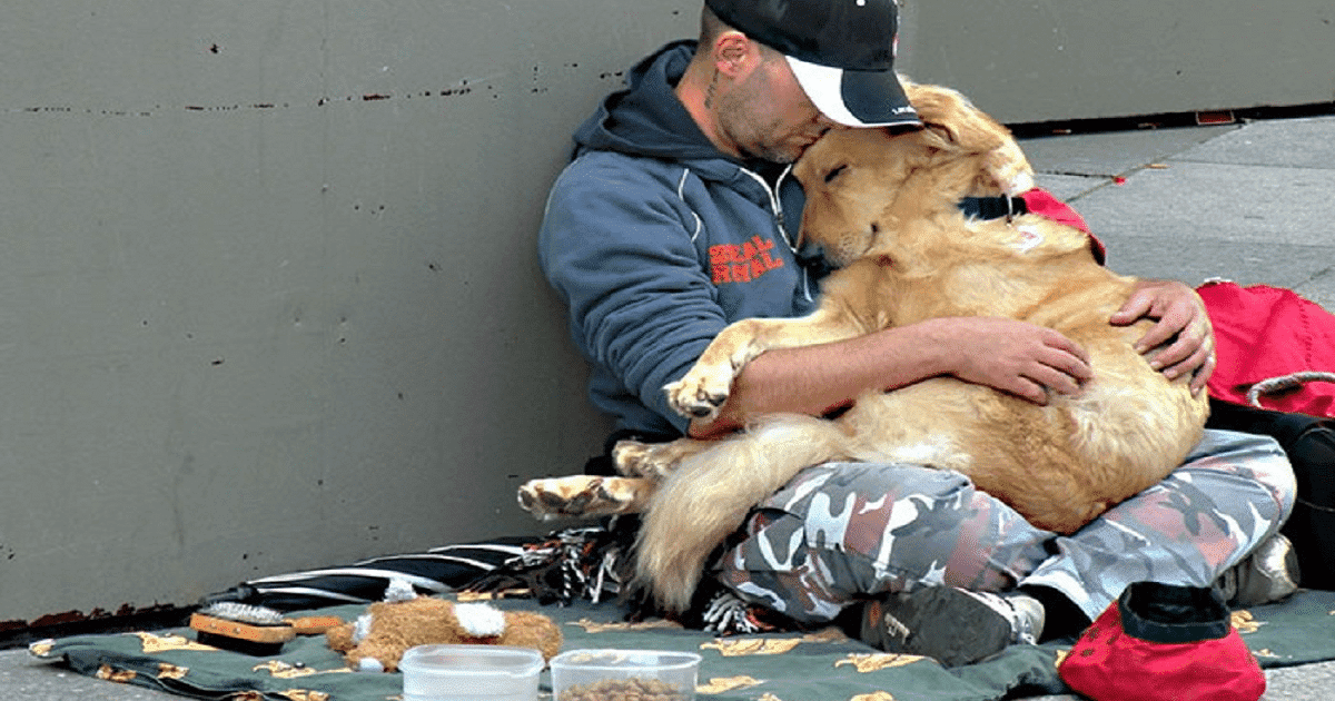 15 Images That Shows, There is no Affection Like a Man and His Dog