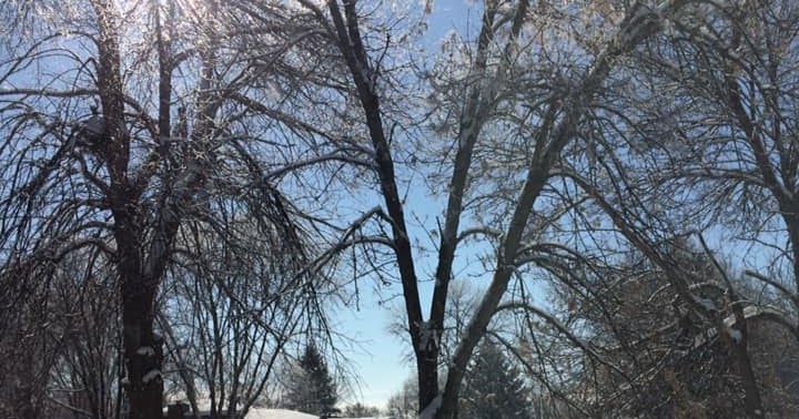 21 Wits, by Karen: That Feel Good Vibe and Critters