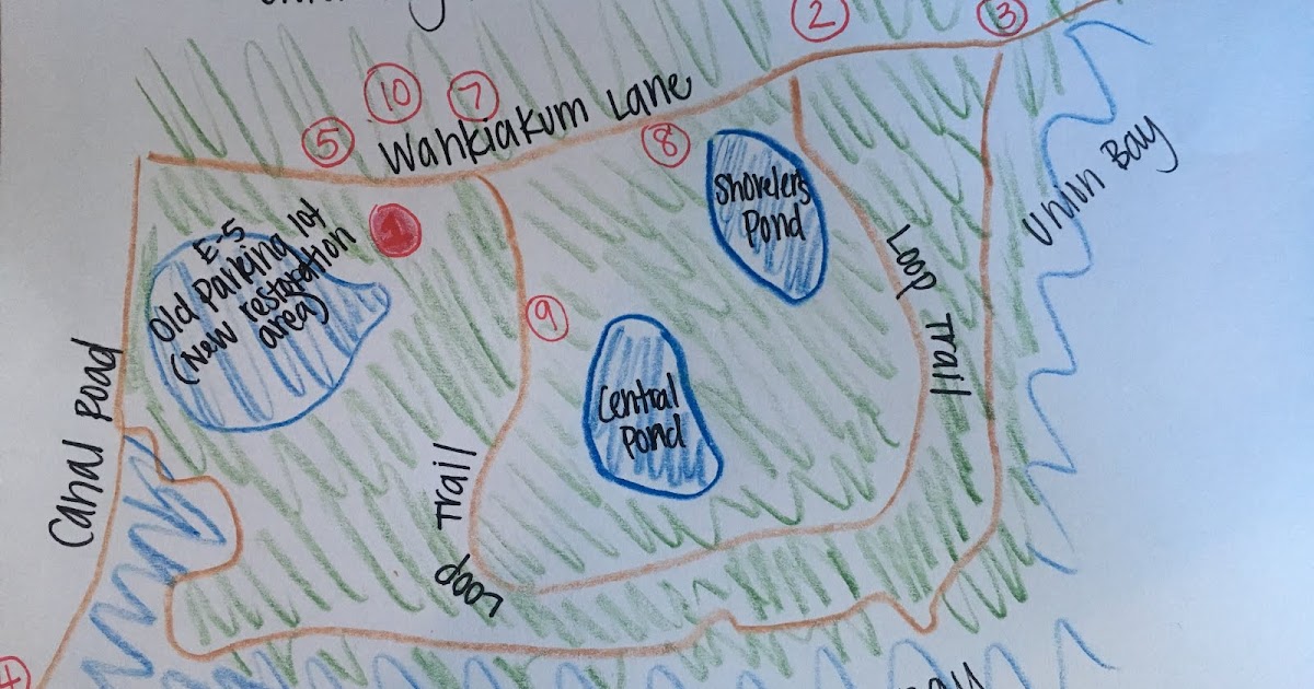 Union Bay Natural Area