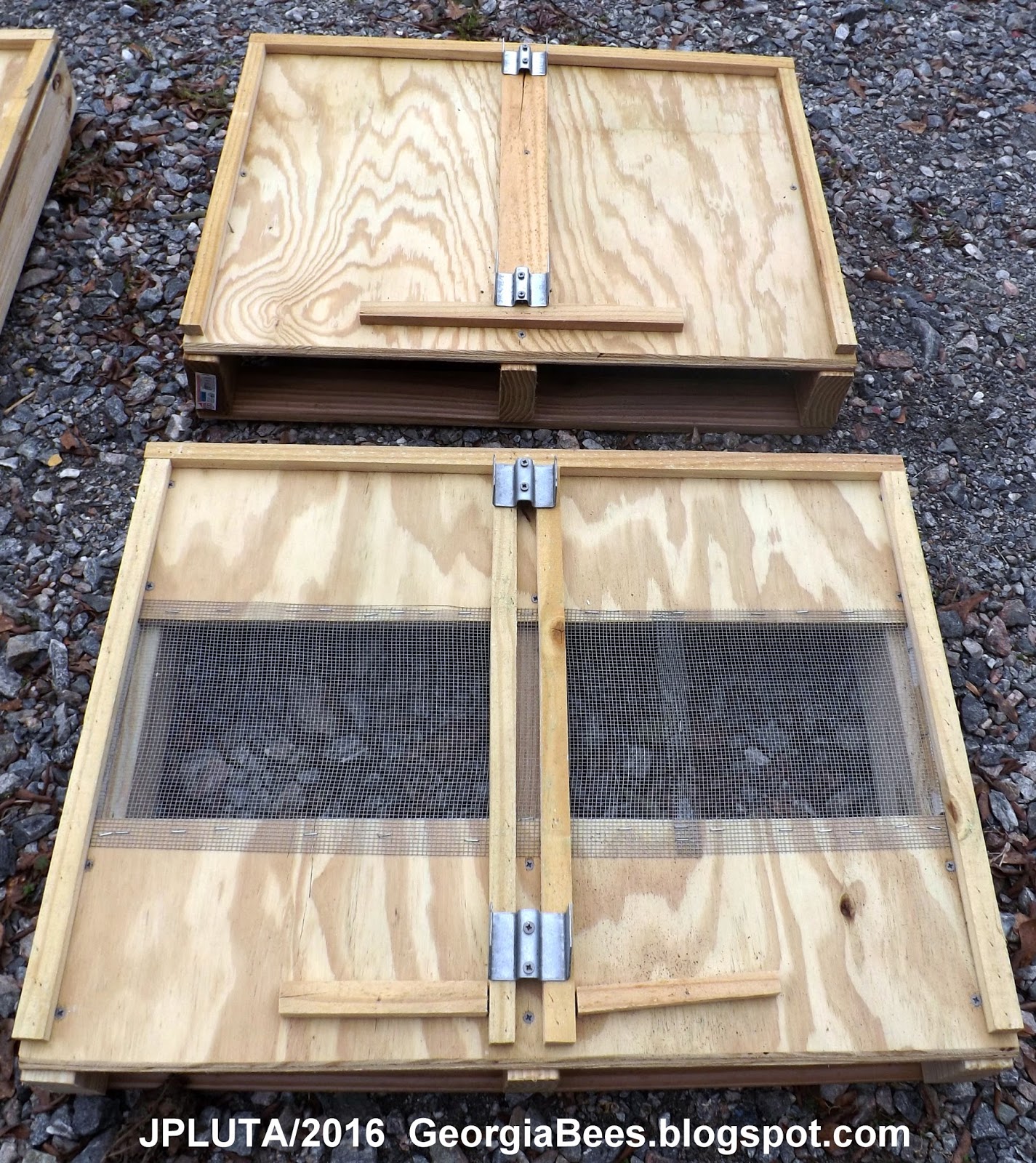 BEEKEEPING Beekeeper Honey Bees Pollen Wax Candle Propolis Queen Nuc ...