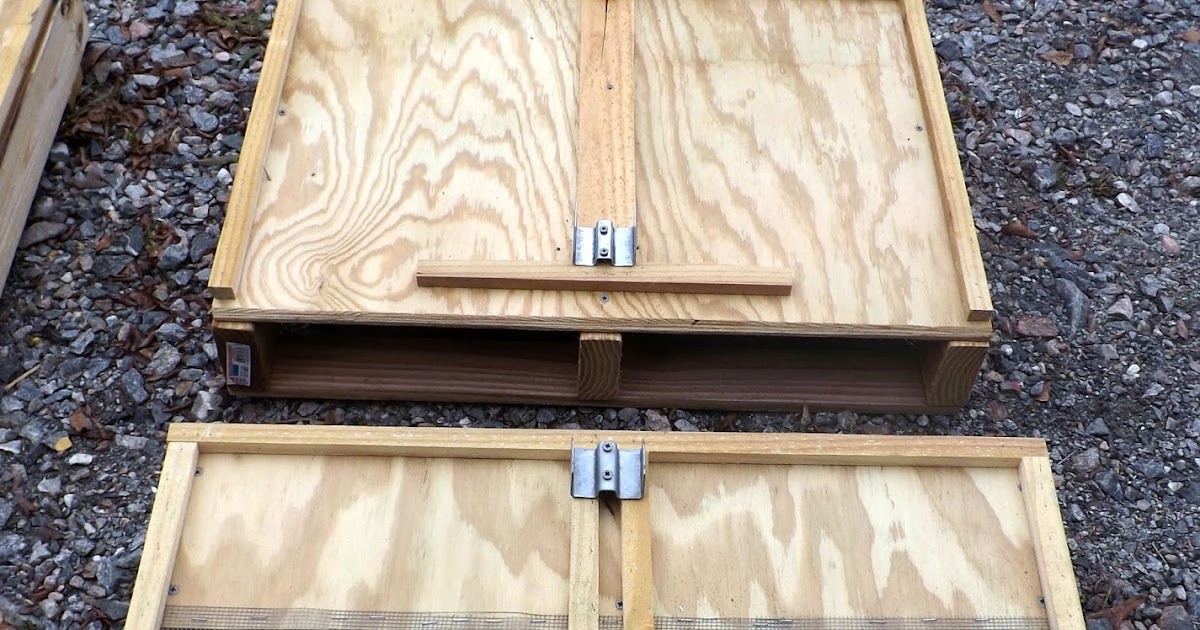 BEEKEEPING Beekeeper Honey Bees Pollen Wax Candle Propolis Queen Nuc ...