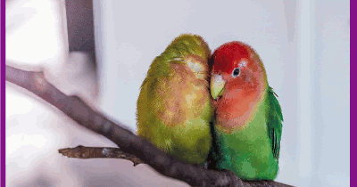 AMOUR INFINI - VIVRE UNE VIE D'MOUR - WORDS OF LOVE - INFINITE LOVE ...