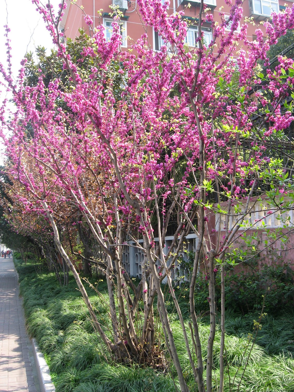 Jax Stumpes: CY Tung Maritime Museum, Flower Markets (4/1,3,6/2012)