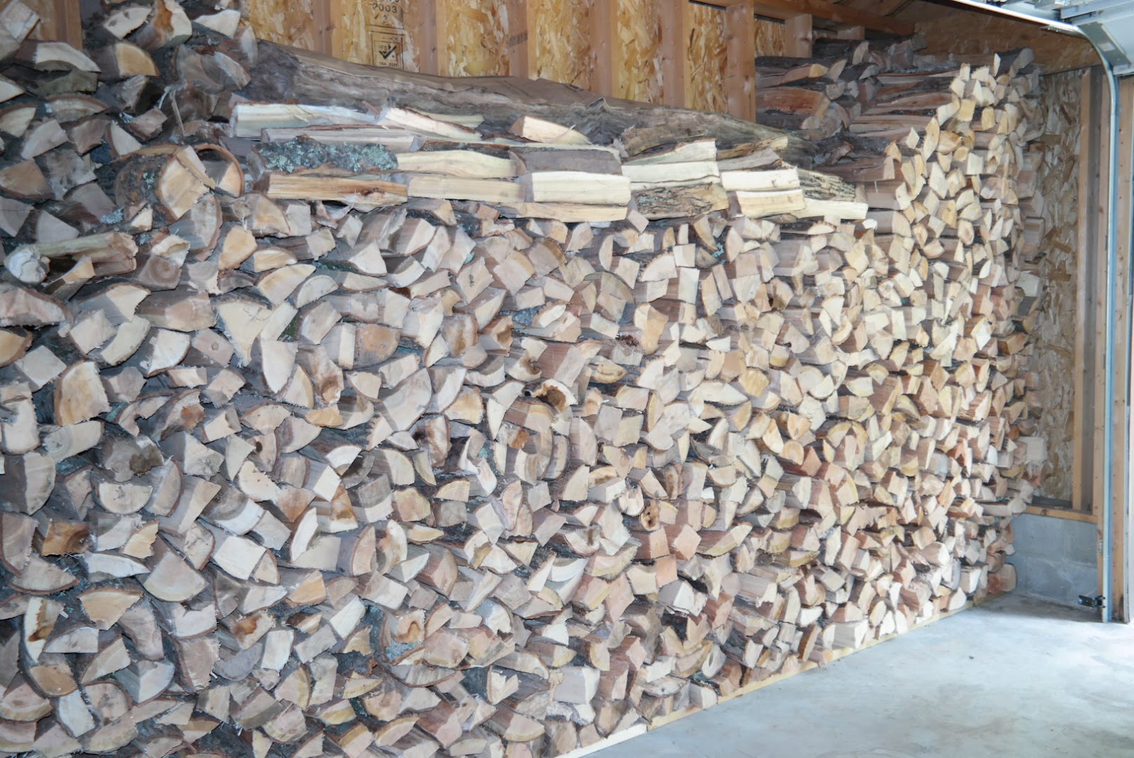 MountainMama: And So It Begins.....