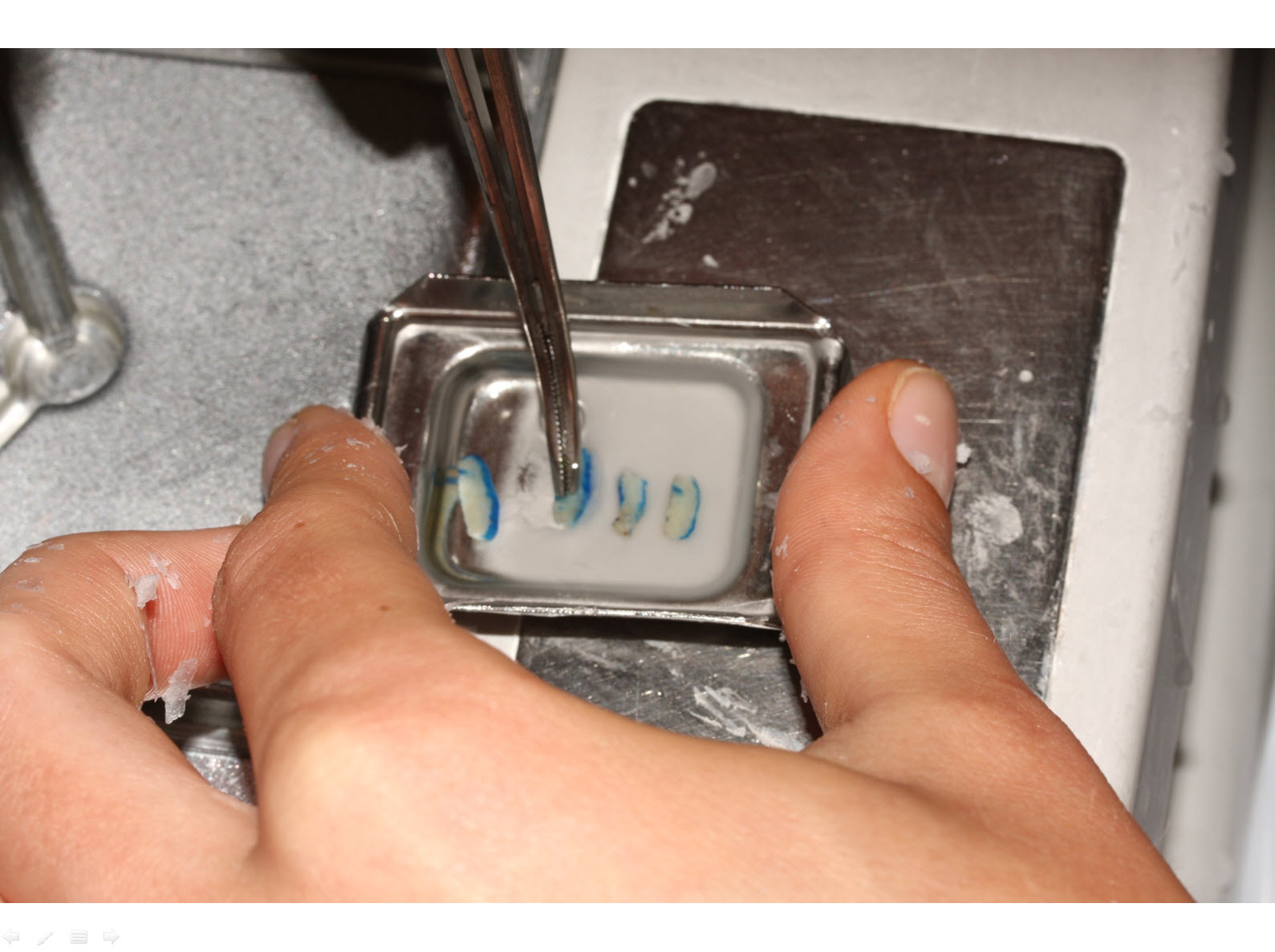 Dermatopathology Made Simple - Inflammatory: Skin Stains