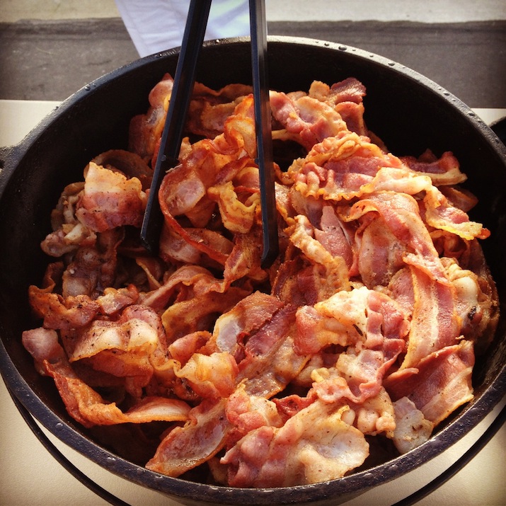 clay all day: BACON AND A FLY