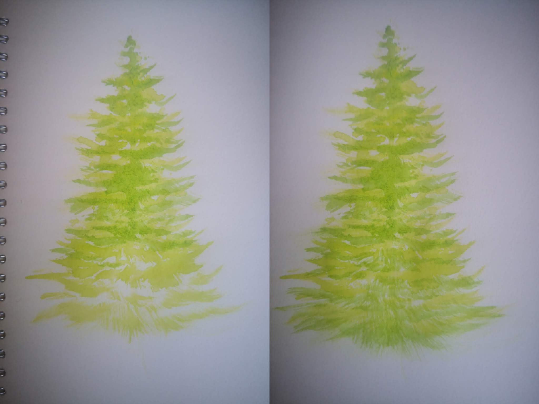 How to Draw a pine tree in watercolor. Best ideas for drawing tutorial ...