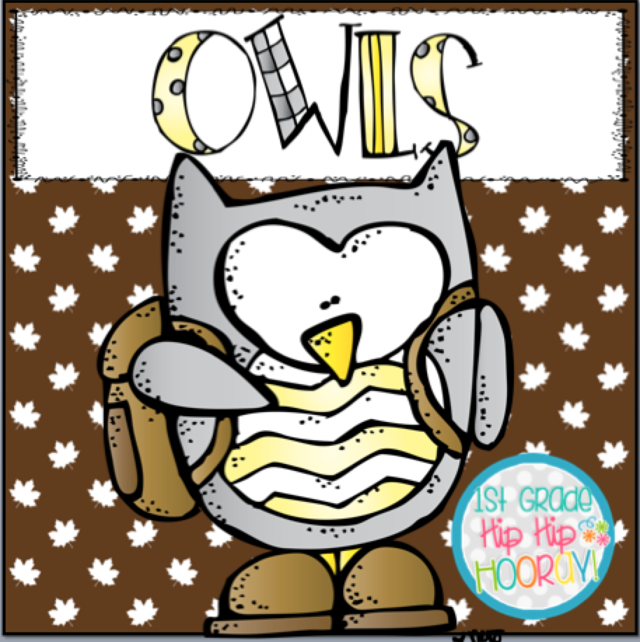 1st Grade Hip Hip Hooray!: Owls...Teaching primary students to use ...