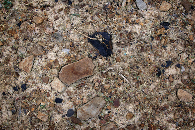 anthropologies: Landscapes for Reclamation, Eastern Kentucky