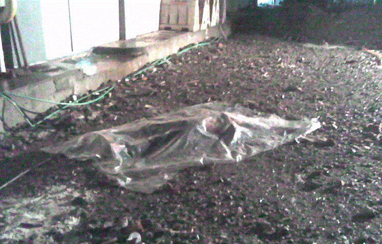 Momok Ghost: Ghost Gate at Bintang Plaza, Miri