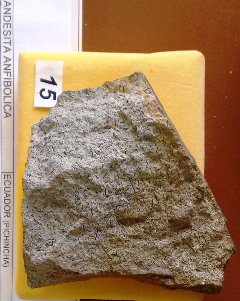 Museo "Ciencias de la Tierra"