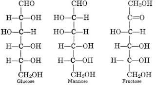 Student Study Notes: STPM Biology Biological Molecules Part 3 ...