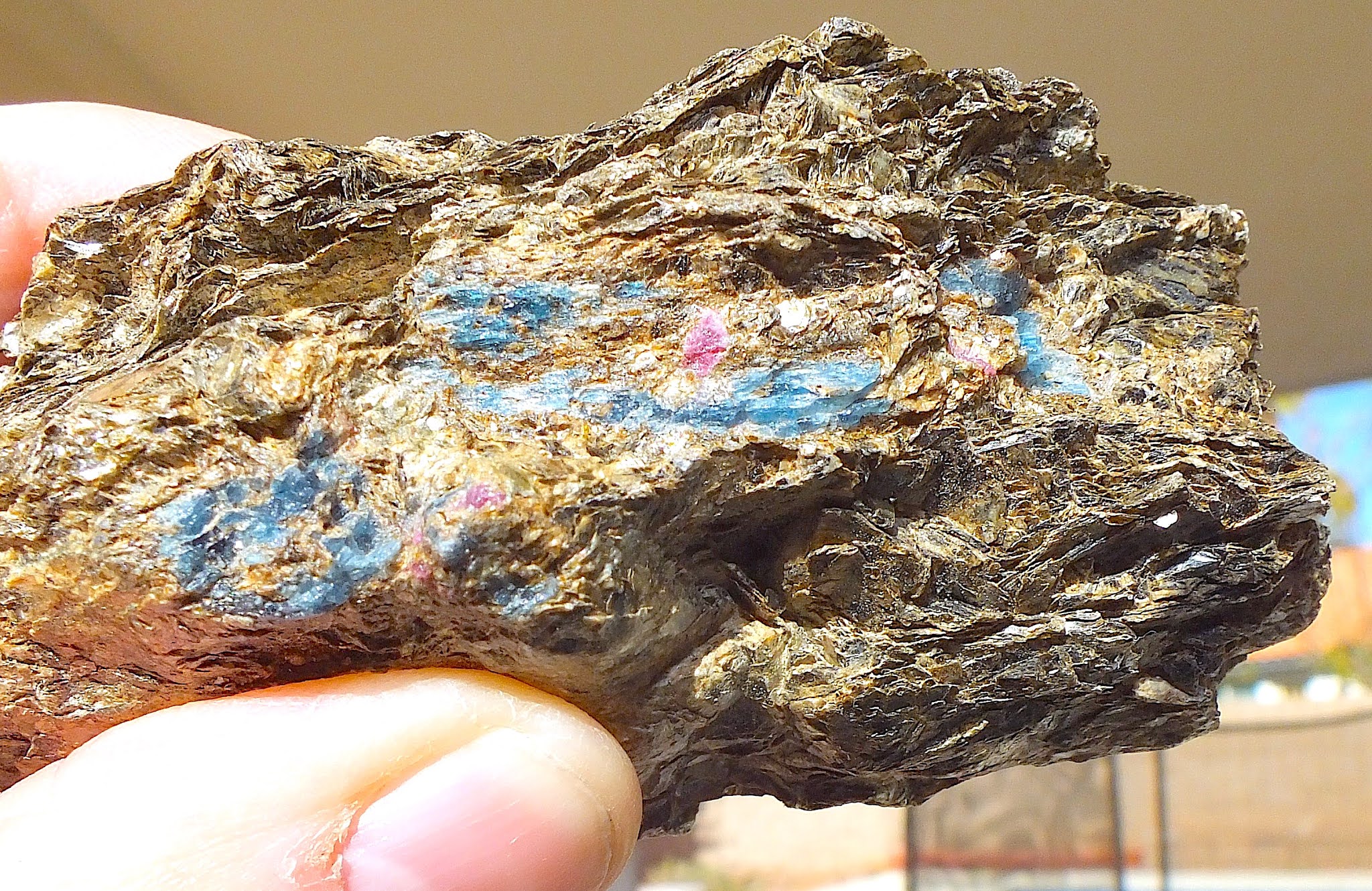 RUBY & SAPPHIRE IN WYOMING