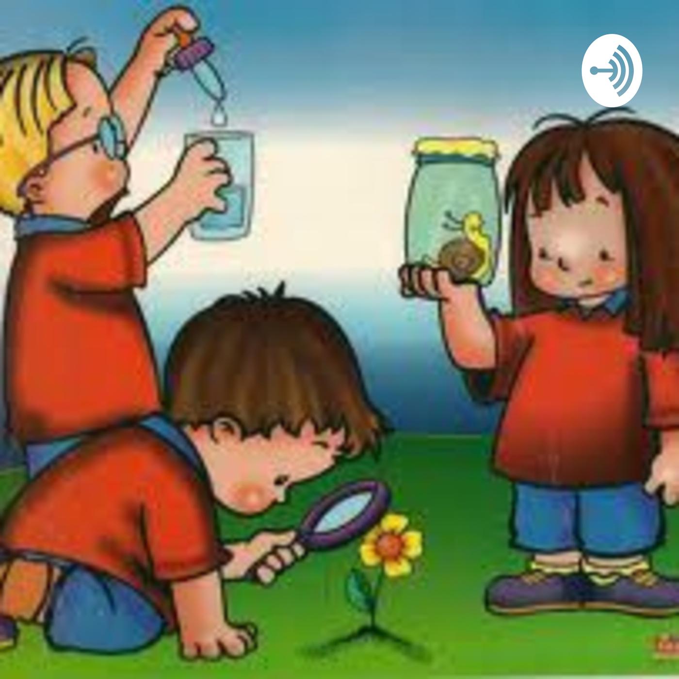 Teoría del Aprendizaje por Descubrimiento de Bruner