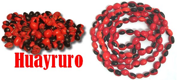 El Huayruro | Tarot Guerrera sin Espada