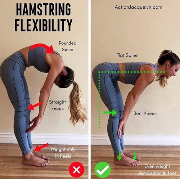 Hamstring Flexibility