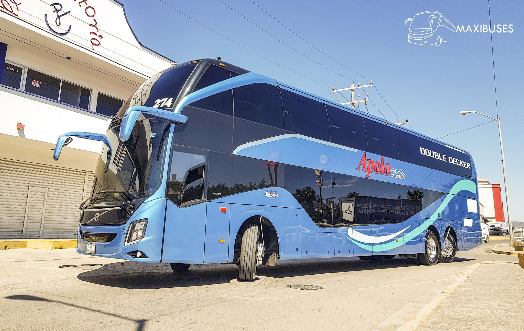 MAXIBUSES: APOLO PLATINUM