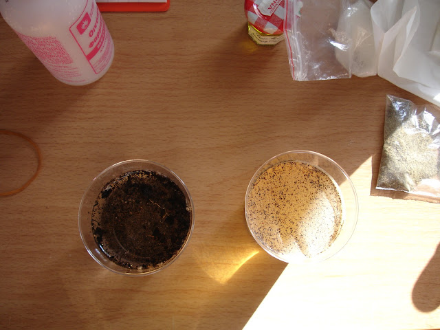 Πειράματα Φυσικής με Απλά Υλικά Science Experiments for Kids: Ομογενή ...
