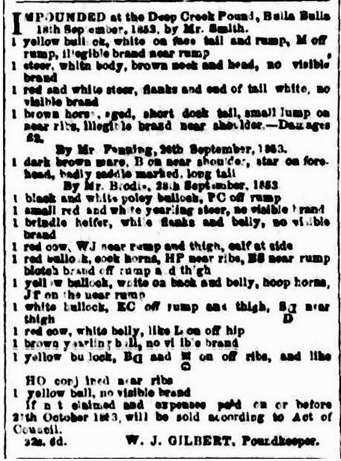 Ben Hall: John Gilbert