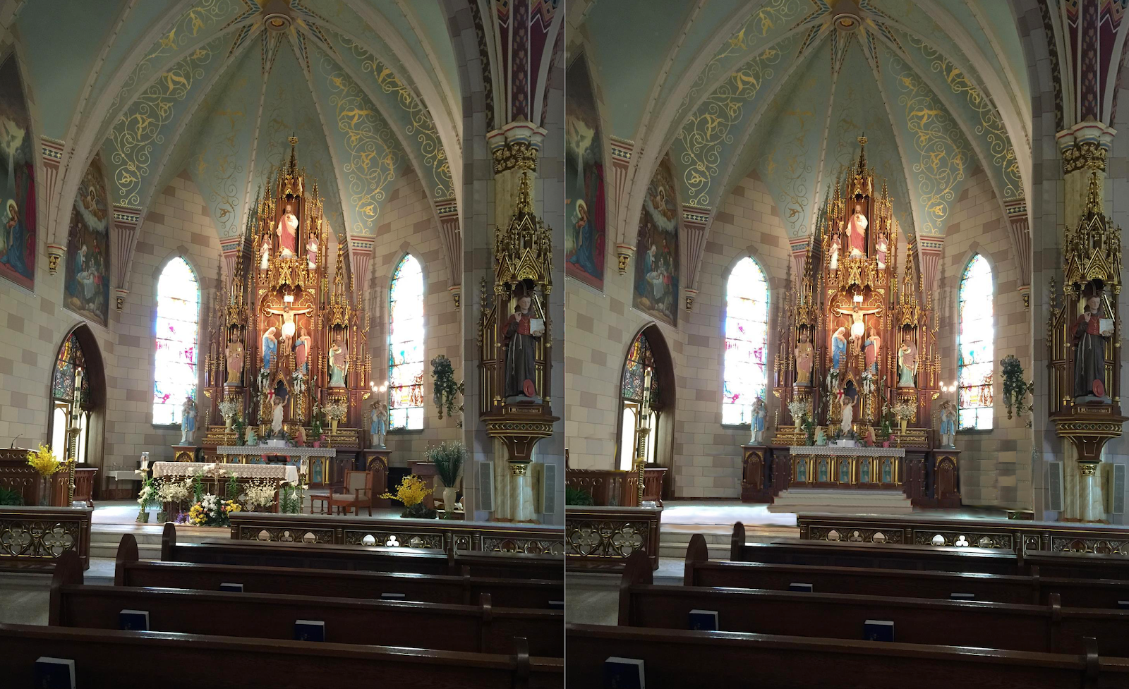 Two Further Case Studies Showing the Benefits of Traditional Sanctuary ...