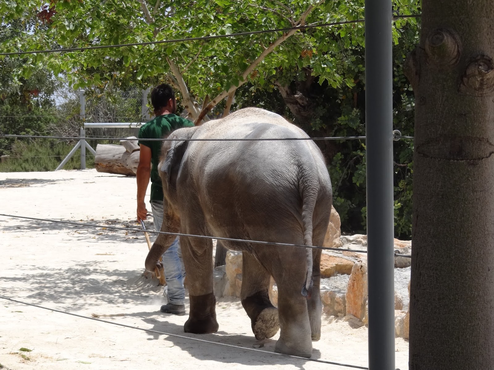 A Day in Cyprus | Pafos Zoo | Part II - The Nerdy Me