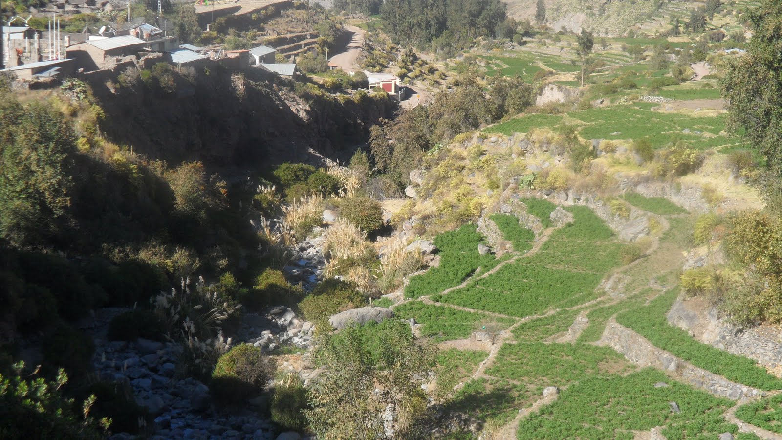 CLUB SOCIAL CHACHAS: Fotos turísticas de Chachas tomadas por nuestro ...