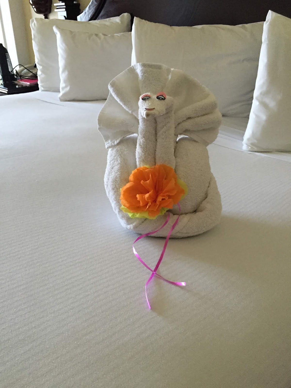 McNeilly Family Blog: Adults ONLY trip to Rivera Maya, Mexico