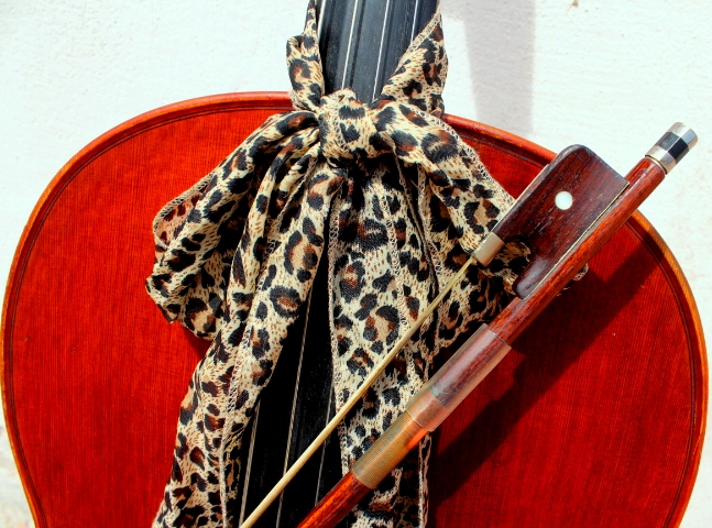 6 Interesting facts about the cello