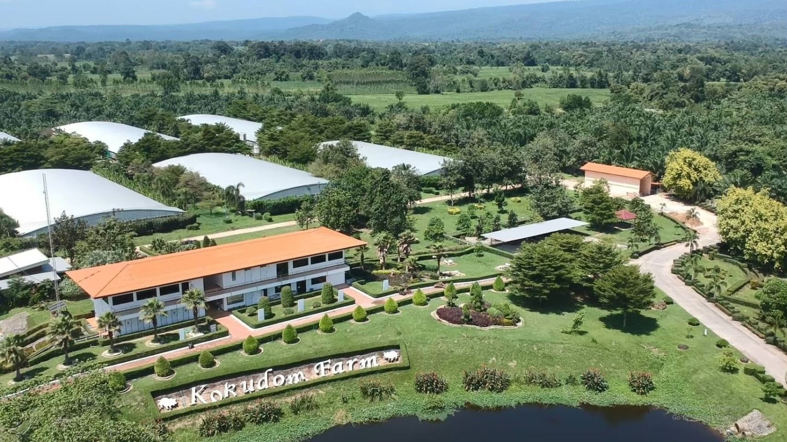 เปิดซีพีเอฟกรีนฟาร์ม (Green Farm) ... ฟาร์มหมูรักษ์โลกเป็นมิตรชุมชน ...