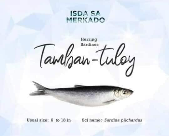 Ibat-Ibang Klase ng Isda at Iba Pang Laman-Tubig na Karaniwang Mabibili ...