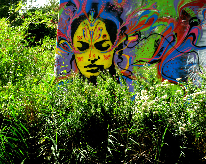 Stinkfish New Street Pieces In Amsterdam, Netherlands – StreetArtNews