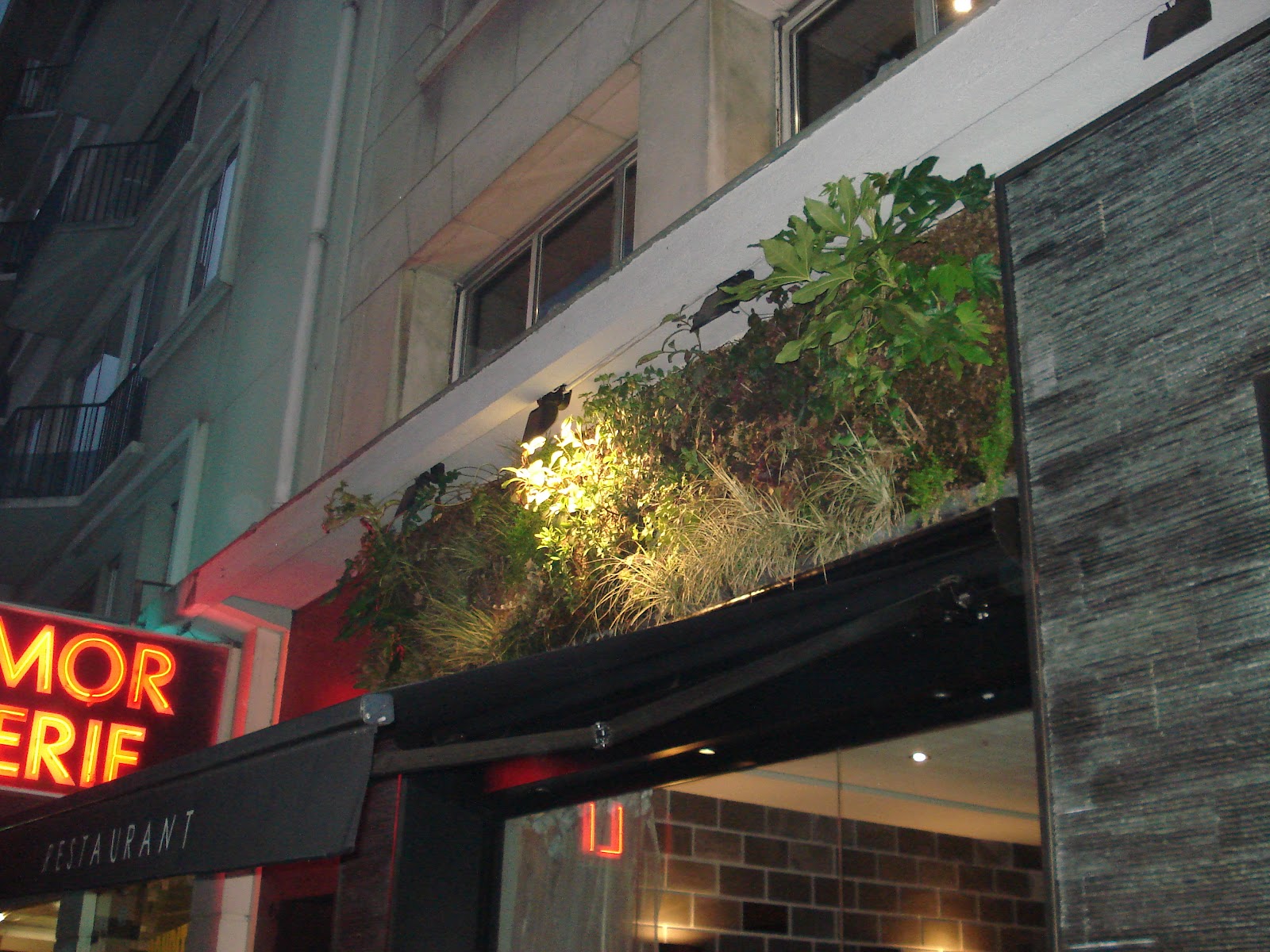 Fleuriste Isabelle Feuvrier: Mur végétal 47 rue Janvier à Rennes